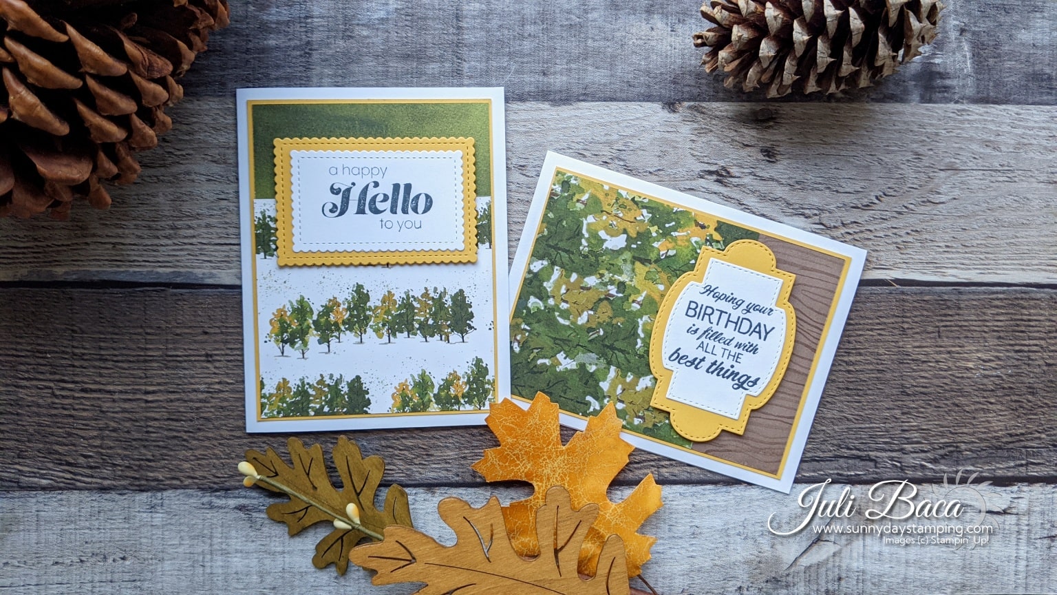 Save Time! Make Two Cards at Once! • Sunny Day Stamping